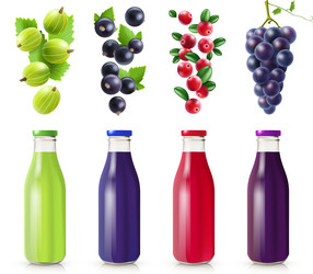 Realistic berries set Royalty Free Vector Image