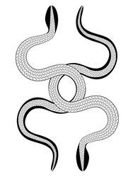 Two Snakes Vector Images (over 730)