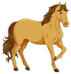 Stallion horse cartoon animal Royalty Free Vector Image