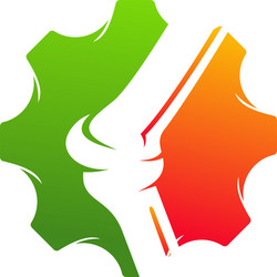 Body Gear Anatomy Vector Images (over 150)