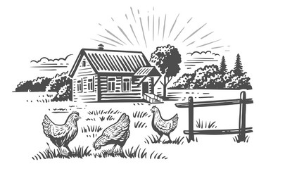 Countryside landscape with chicken farm sketch Vector Image