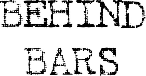 Person Behind Bars Vector Images (over 400)