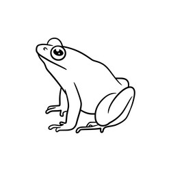 Frog line art drawing Royalty Free Vector Image