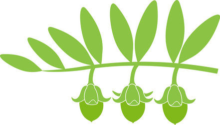 Jojoba Oil Logo Vector Images (over 140)