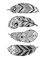 Hand drawn feathers Royalty Free Vector Image - VectorStock
