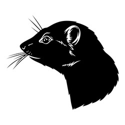 Weasel Vector Images (over 1,200)