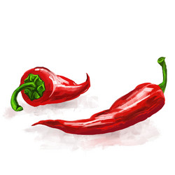 Watercolor hand drawn green chili isolated eco Vector Image
