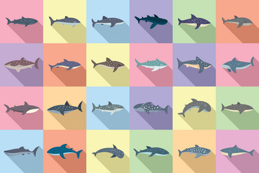 Animal Top View Vector Images (over 2,700)