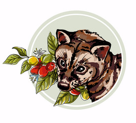 Coffee Luwak Vector Images (over 150)