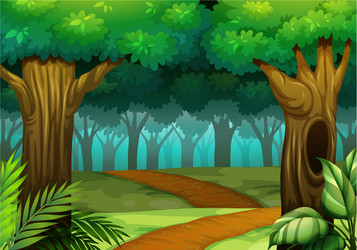 Nature scene with hiking track into the woods Vector Image