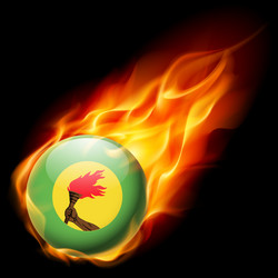 Round glossy icon of zaire Royalty Free Vector Image