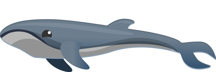 Bowhead Whale Cartoon Vector Images (over 170)