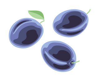 Prune Vector Images (over 5,900)