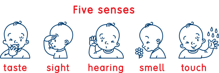 Touch sense icon Royalty Free Vector Image - VectorStock