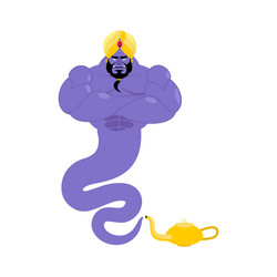 Genie granting the wish Royalty Free Vector Image