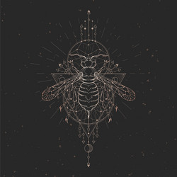 Bee Sacred Geometry Vector Images (98)