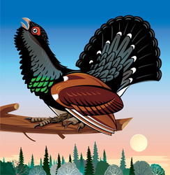 Grouse Vector Images (over 520)