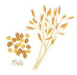 Oat pattern cereal plants oatmeal Royalty Free Vector Image