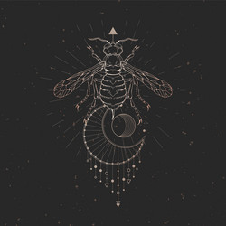 Bee Sacred Geometry Vector Images (98)