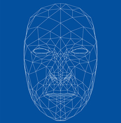 Wire-frame abstract human face Royalty Free Vector Image