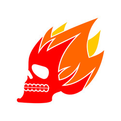 Skull fire head skeleton flame flaming Royalty Free Vector