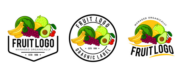 Fruit logo design Royalty Free Vector Image - VectorStock