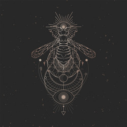 Bee Sacred Geometry Vector Images (98)