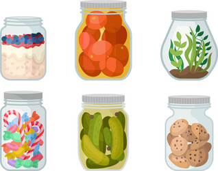 Collection of glass jars with ingredient fresh Vector Image