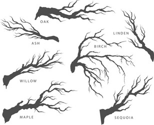 Liquid branches Royalty Free Vector Image - VectorStock