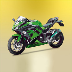 Kawasaki Vector Images (over 220)