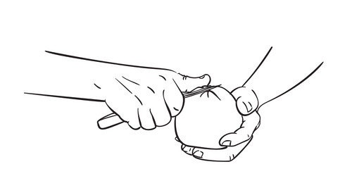 Drawing sketch of fruits Royalty Free Vector Image