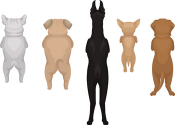 Dog Back View Vector Images (over 260)