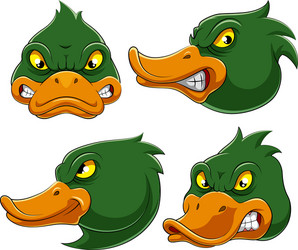 Angry Duck Vector Images (over 290)