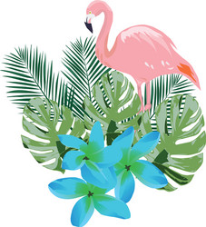 Flamingo Vector Images (over 27,000)