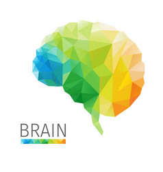 Brain Vector Images (over 220,000)