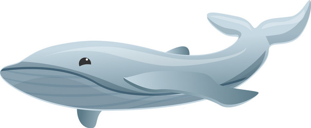 Gray Whale Cartoon Vector Images (over 160)