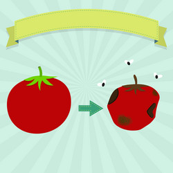 Rotten Tomato Vector Images (over 260)