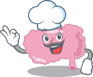 Chef brain character cartoon mascot Royalty Free Vector