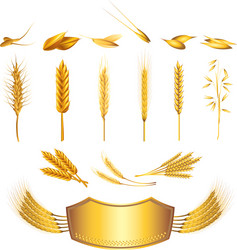 Wheat Vector Images (over 120,000)