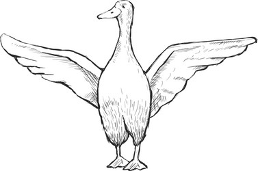 Contour line drawing coloring for kids Royalty Free Vector