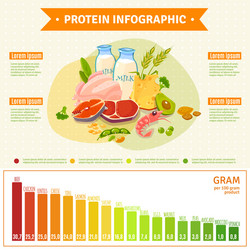 High protein diet poster Royalty Free Vector Image
