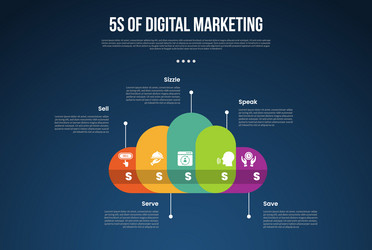 5s digital marketing infographic template Vector Image