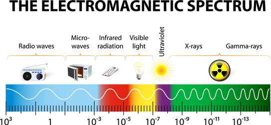 Science electromagnetic spectrum diagram Vector Image