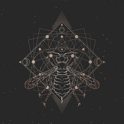 Bee Sacred Geometry Vector Images (98)