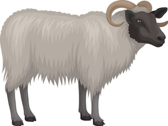 Sheep Black White Side View Vector Images (97)
