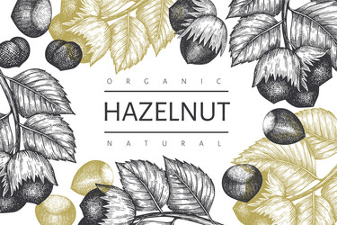 Hand drawn sketch hazelnut design template Vector Image