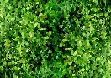 Foliage Royalty Free Vector Image - VectorStock