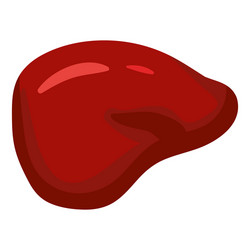 Liver Icon Sketch Vector Images (over 300)