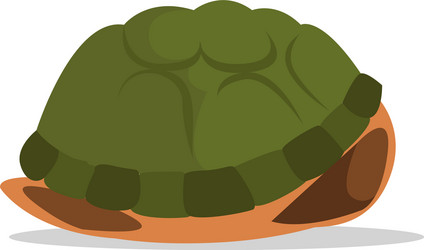 Turtle cartoon hiding in his shell Royalty Free Vector Image
