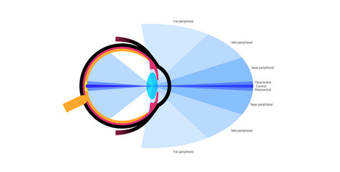 Peripheral vision poster Royalty Free Vector Image